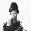 Picture of Claudia Cardinale