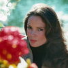 Picture of Jaclyn Smith