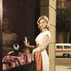 Picture of Diane Webber