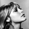 Picture of Sharon Tate