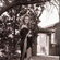 Picture of Dagmar Lassander