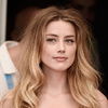 Picture of Amber Heard